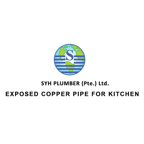 Exposed Copper Pipe for Kitchen | SYH